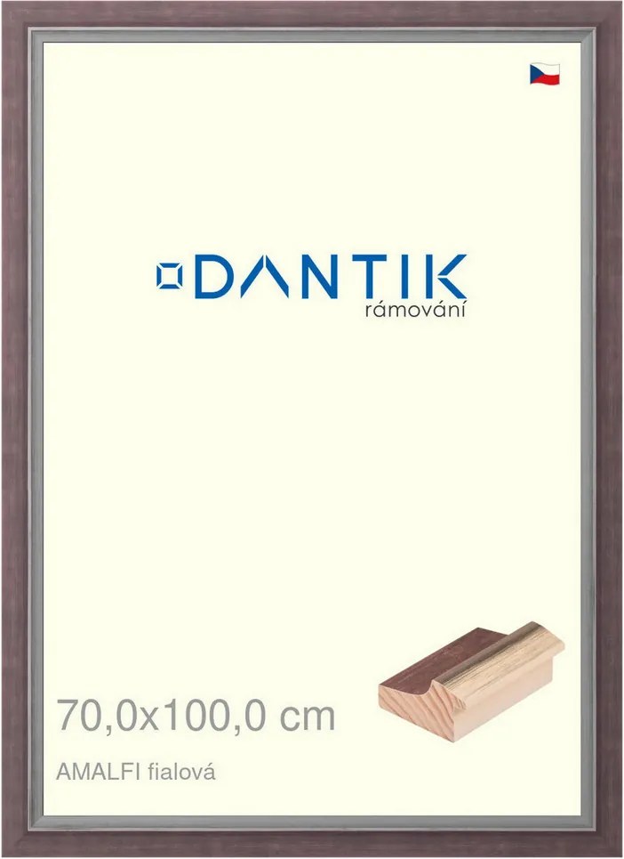DANTIK rámeček 70x100 | AMALFI fialová (Plexi Čiré)