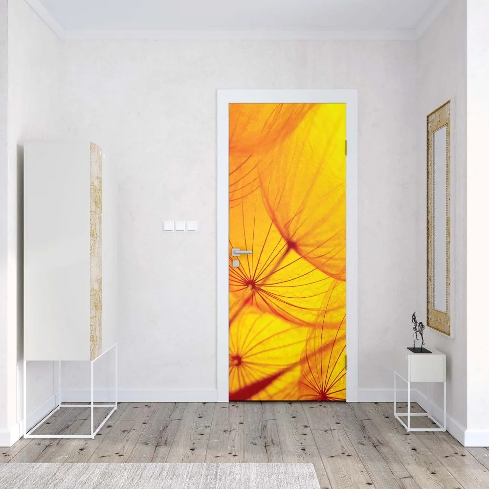 GLIX Fototapeta na dveře - Orange Dandelion | 91x211 cm