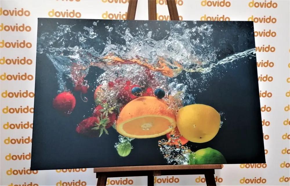 Obraz ovoce ve vodě - 90x60 cm