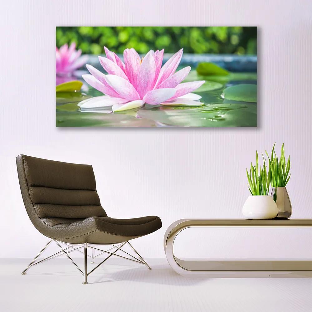 Plexisklo-obraz Vodní Lilie Rybník Příroda 120x60 cm