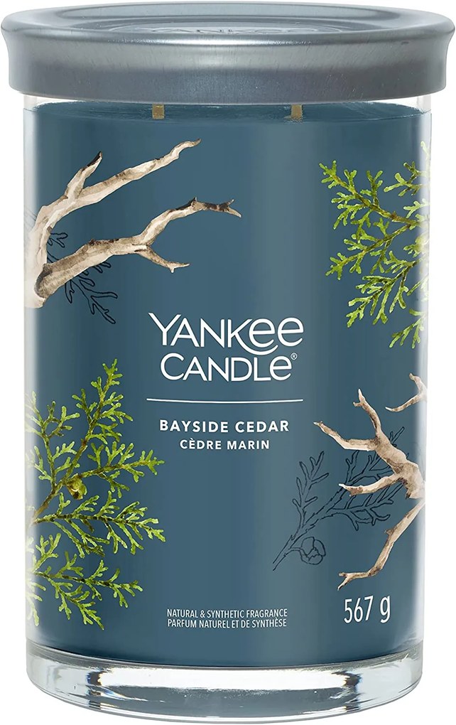 Yankee Candle vonná svíčka Tumbler ve skle velká Bayside Cedar 567g