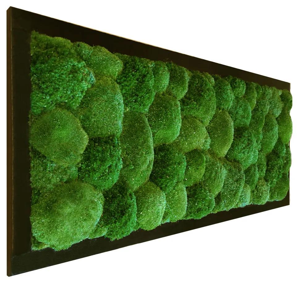 WOODILO Mechový obraz 206 | kopečkový mech | středně zelená Rozměr obrazu: 100x100 cm, Barva rámu: Rustikální (černá oprýskaná), Síla rámu (pohledová): 4,5 cm