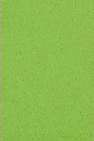 Amscan Ubrus světle zelený dva v jednom - papír + PVC 137cm x 274cm