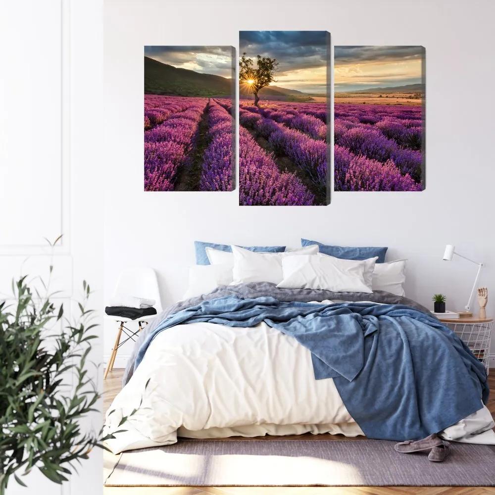 Vícedílný obraz Levandulové Pole Při Západu Slunce 3D Nedostatek Nedostatek Plátno Canvas 120x80