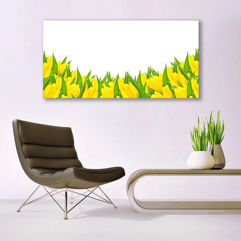 Plexisklo-obraz Květiny Příroda Tulipány 120x60 cm