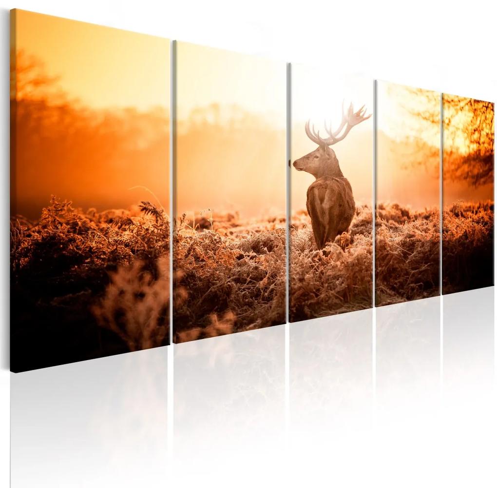 Murando DeLuxe Vícedílný obraz - jelen v západu slunce Velikost: 225x90 cm