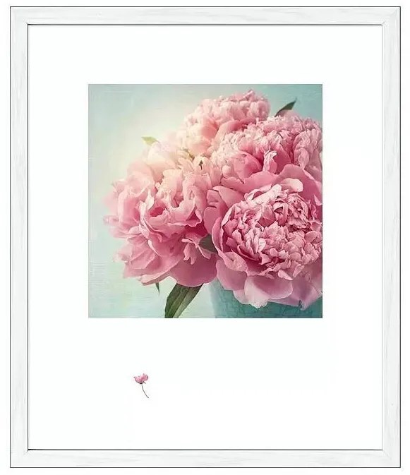 German Obraz Scandic Living / 55 x 65 cm / motiv růžový květ