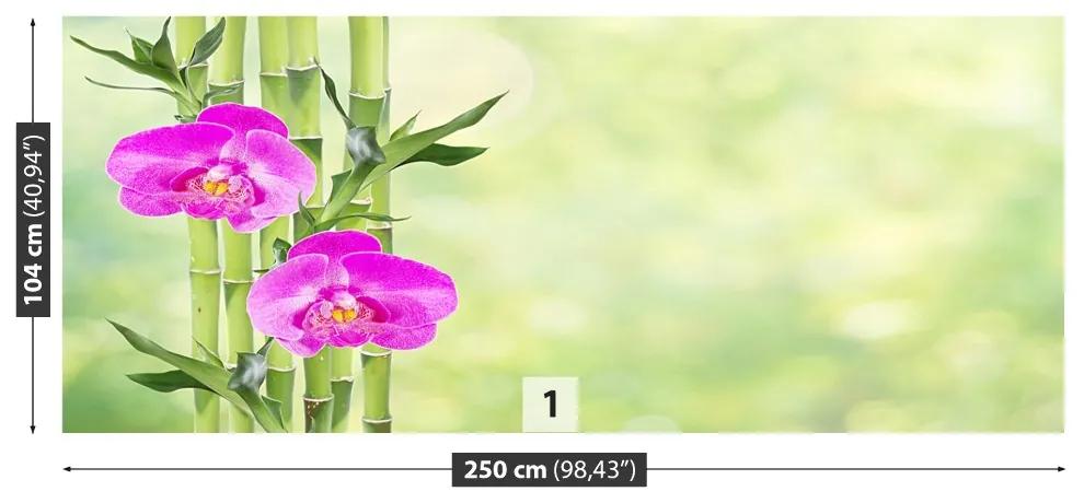 Fototapeta Orchidej a bambus 104x70
