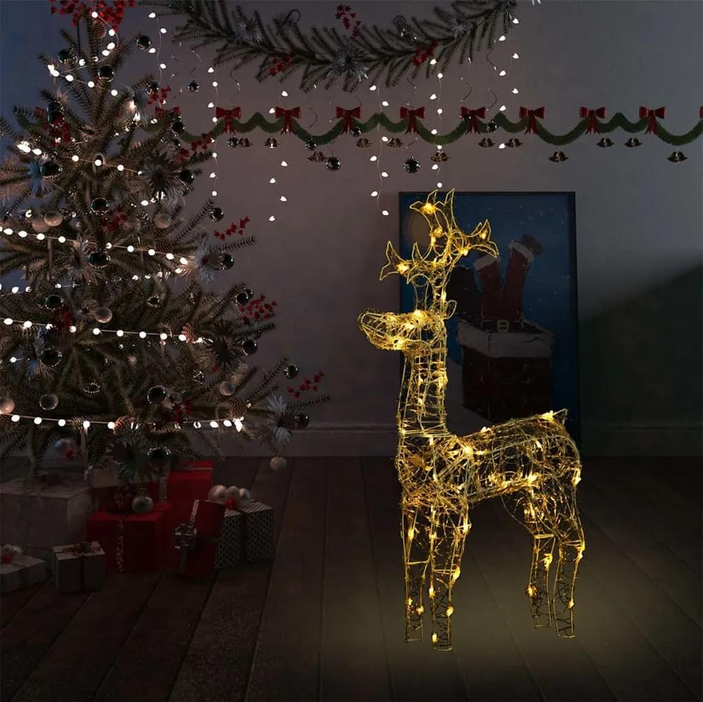 vidaXL Sob vánoční dekorace 90 LED diod 60 x 16 x 100 cm akryl [329780] Barva: Studená bílá