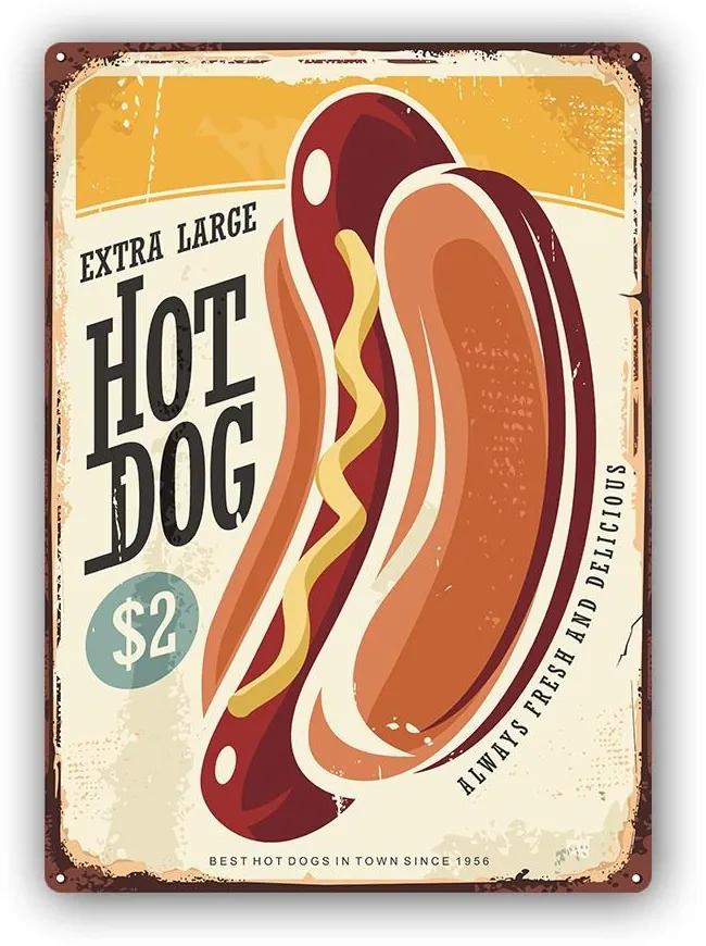CARO Kovový obraz - Retro - Hot Dog 40x60 cm