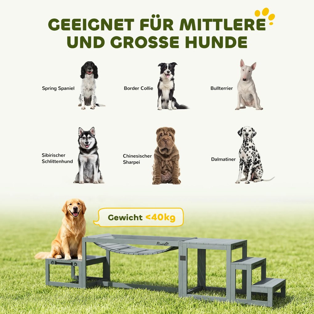 Agility set pro psy 3dílná sada agility vybavení s mostem, schůdky, plošinou, jedlové dřevo, 117 x 50 x 56 cm, šedá barva
