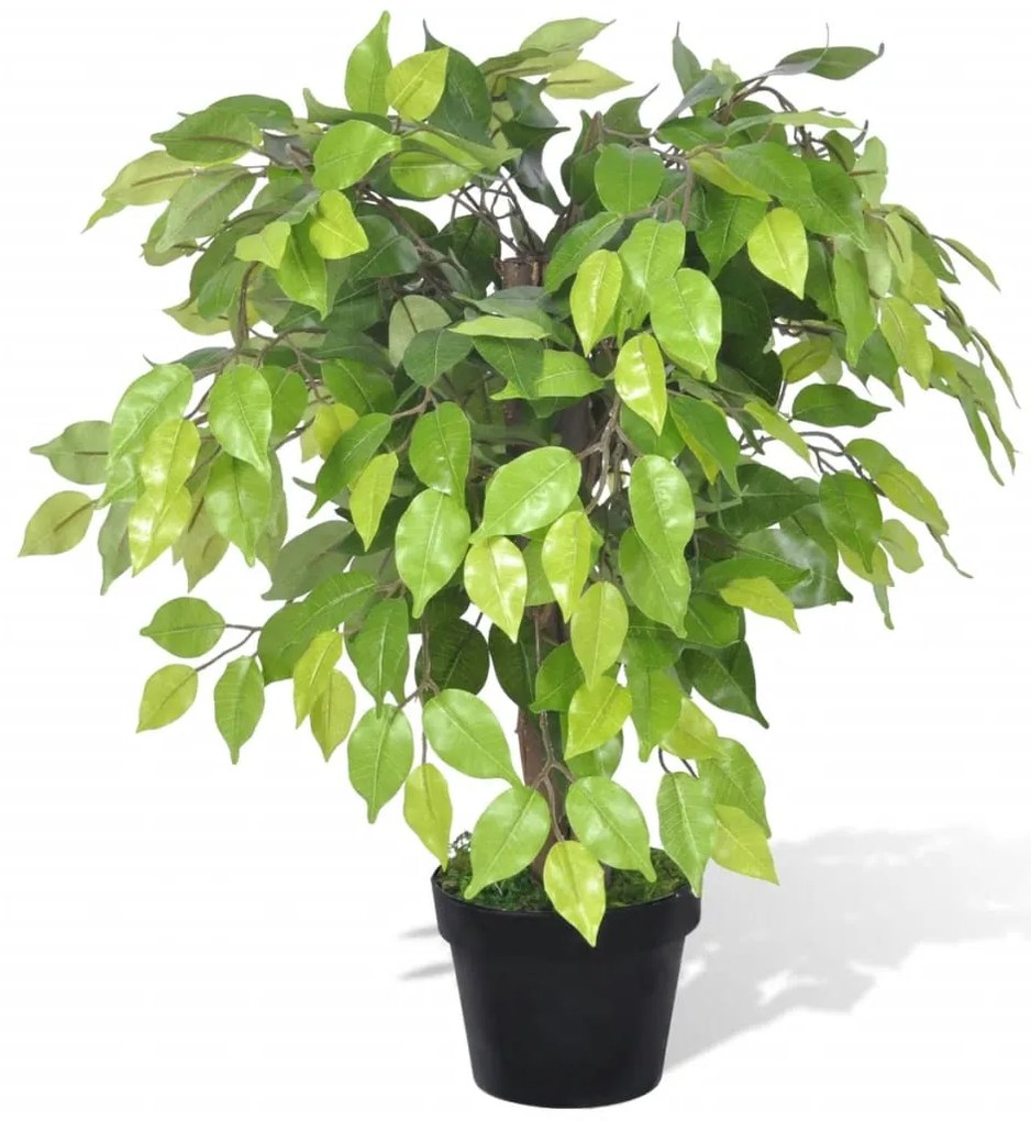 Umělý trpasličí fíkus (fíkovník) v květináči 60 cm 241358