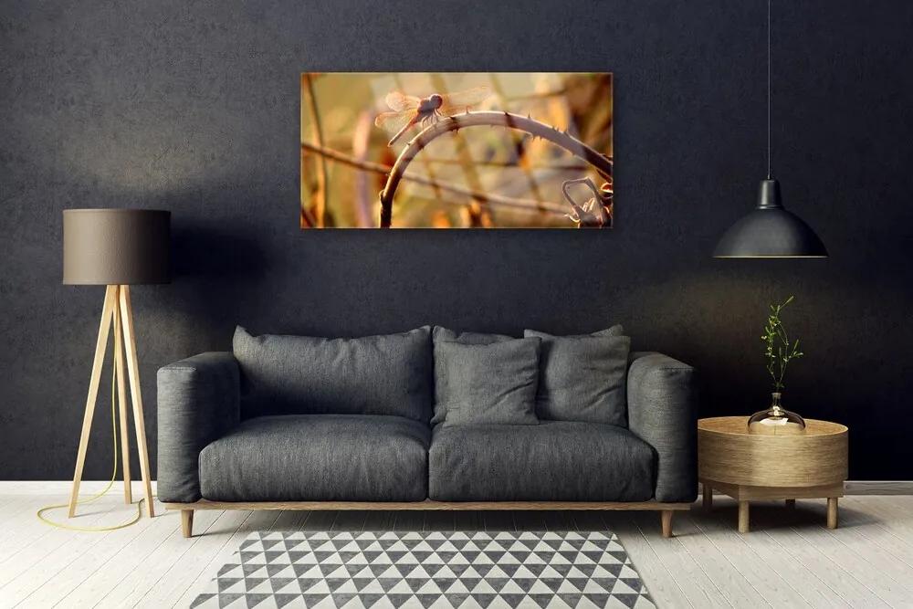 Obraz na skle Vážka Příroda Rostlina 100x50 cm