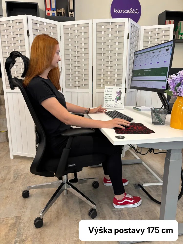 Kancelářská ergonomická židle BESSEL s podhlavníkem — síť, šedý plast, nosnost 120 kg, tmavě šedá MERCURY STAR