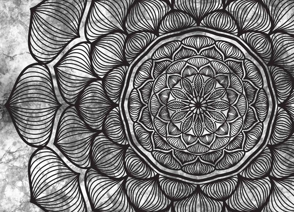 Malvis ® Tapeta Mandala černobílá Vel. (šířka x výška): 216 x 140 cm