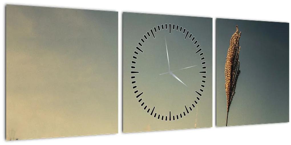Obraz s trávou (s hodinami) (90x30 cm)