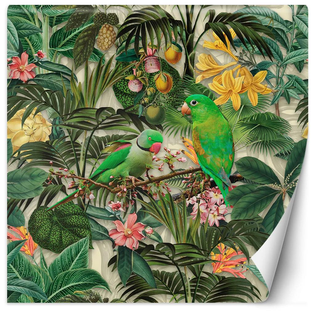 Gario Fototapeta Ptáci na zeleném pozadí Abstrakt - Andrea Haase Materiál: Vliesová, Rozměry: 100 x 100 cm