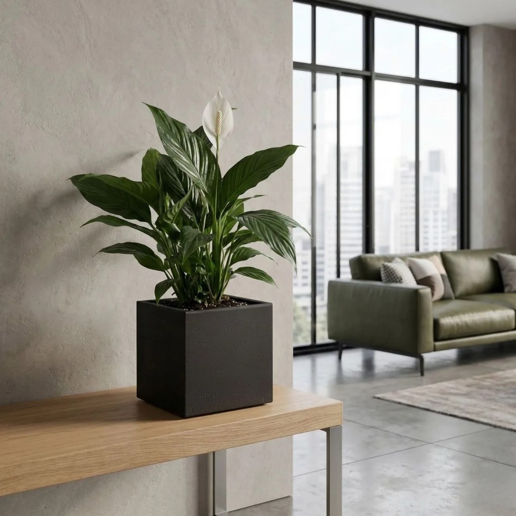 Sada 2 ks květináčů BETONIQUE 30x30/30x60 cm - výběr z 2 provedení