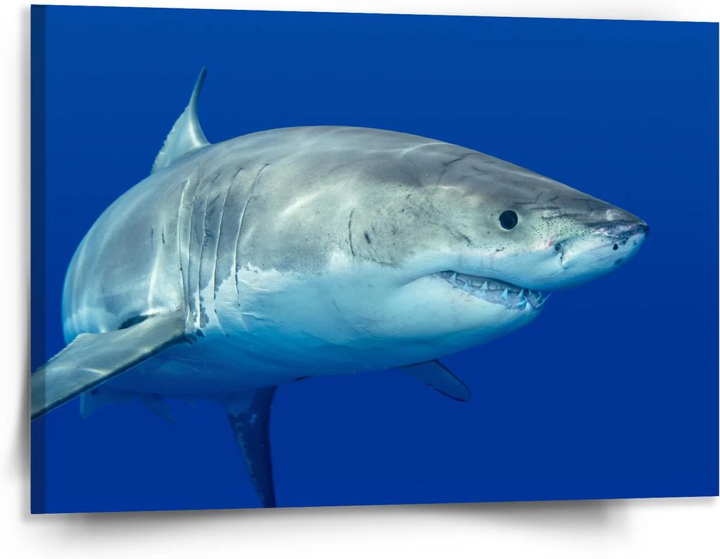 Obraz - Žralok 150x110 cm