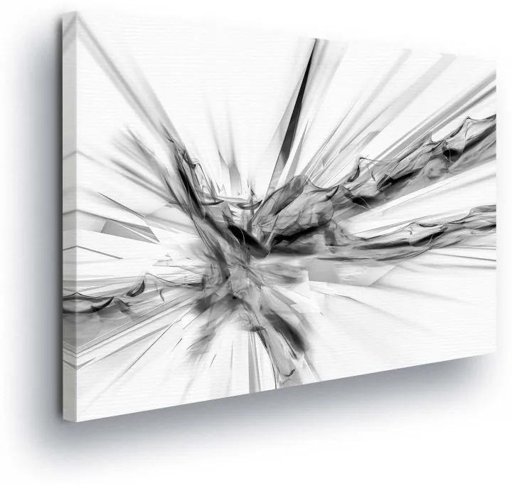 GLIX Obraz na plátně - Černo-bílá Abstrakce 100x75 cm