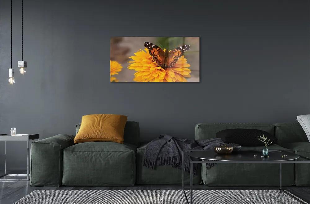 Obraz na skle Barevný motýl květina 140x70 cm