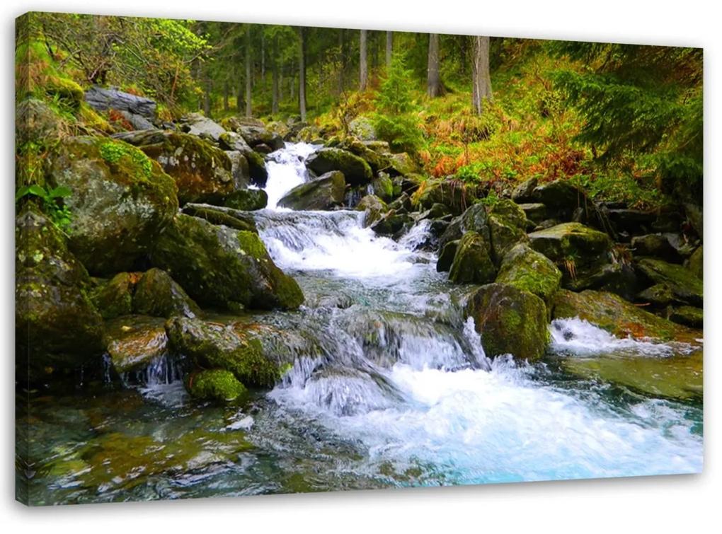 Obraz na plátně Vodopád Horský les - 60x40 cm