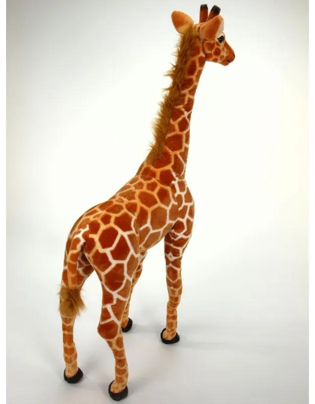 Velká Plyšová Žirafa (137cm) Jak živá