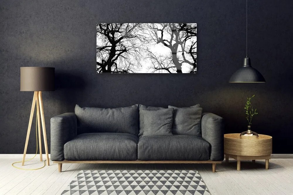 Obraz na skle Stromy Příroda Černobílý 100x50 cm