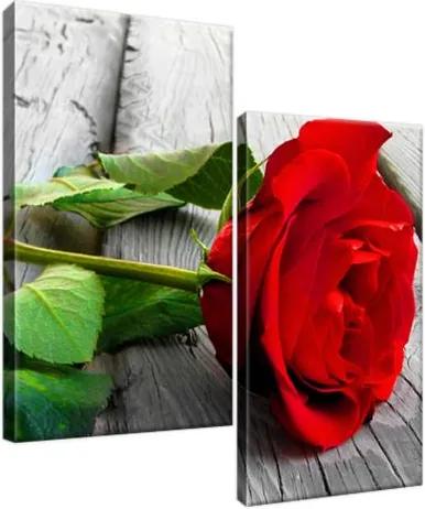 Tištěný obraz Růže plná barev 60x60cm 1140A_2A