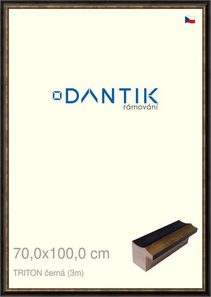 DANTIK rámeček 70x100 | TRITON černá (Plexi Čiré)
