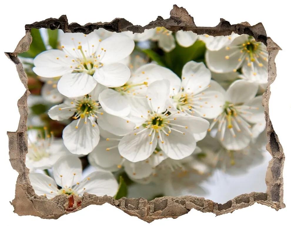 Wallmuralia Samolepící díra nálepka Květy višně 95x64 cm