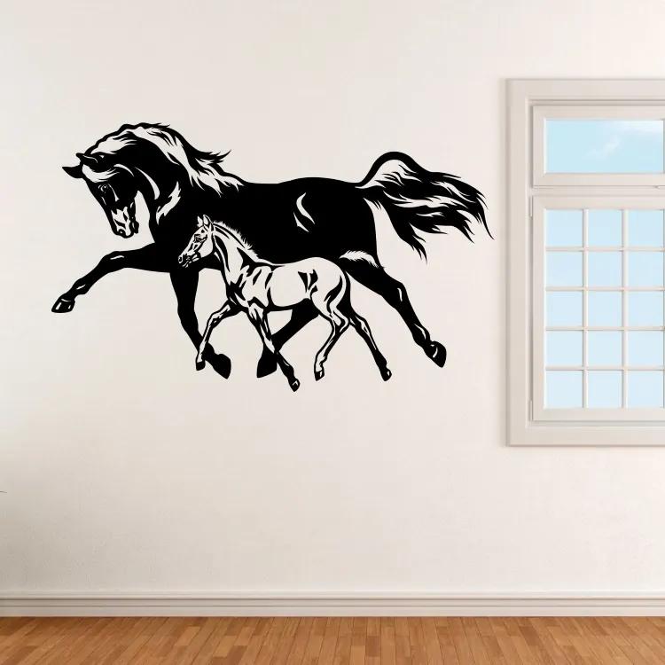 Kůň - hříbě a kobyla - vinylová samolepka na zeď 130x79cm