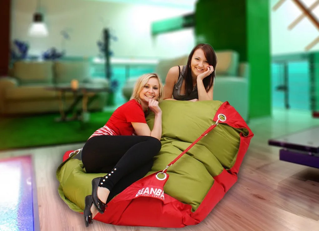 BeanBag Sedací pytel 189x140 duo scarlet rose - green frog