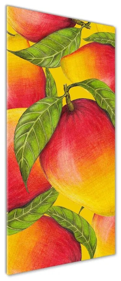 Wallmuralia Fotoobraz skleněný na stěnu do obýváku Mango 50x125 cm