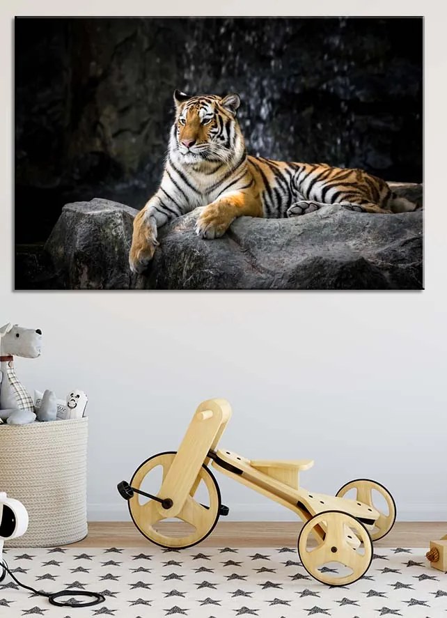 Malvis ® Obraz tygří důstojnost Velikost (šířka x výška): 60x40 cm