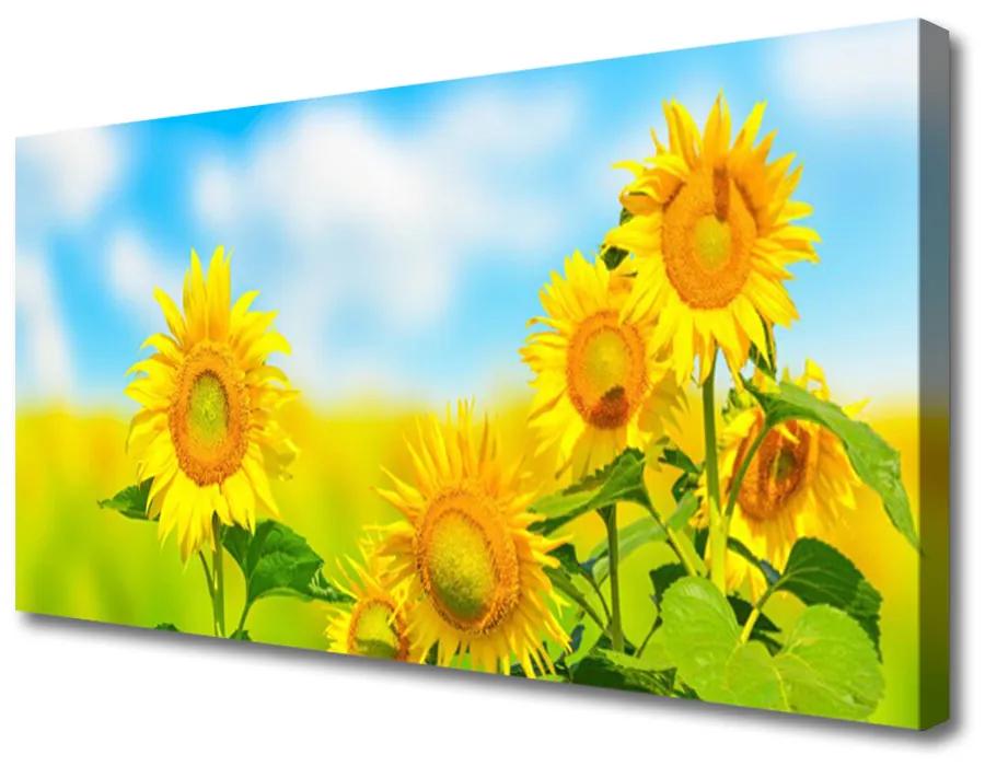 Obraz na plátně Slunečnice Květiny Příroda 125x50 cm