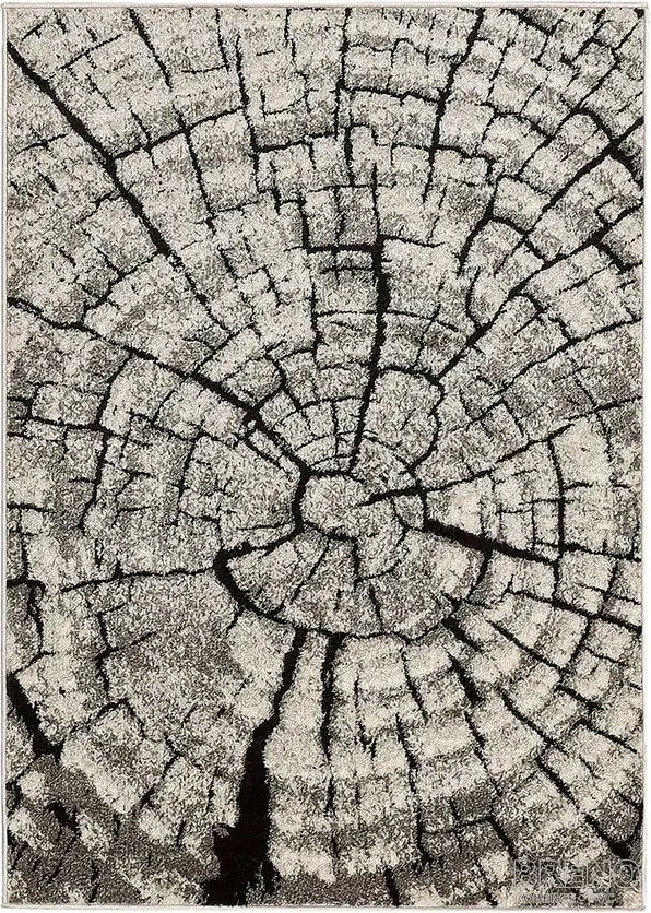 Breno Kusový koberec PHOENIX 6021 - 0244, 200x300 cm, Hnědá/Vícebarevné