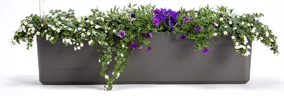 Samozavlažovací truhlík Berberis antracit/zelená 80 cm