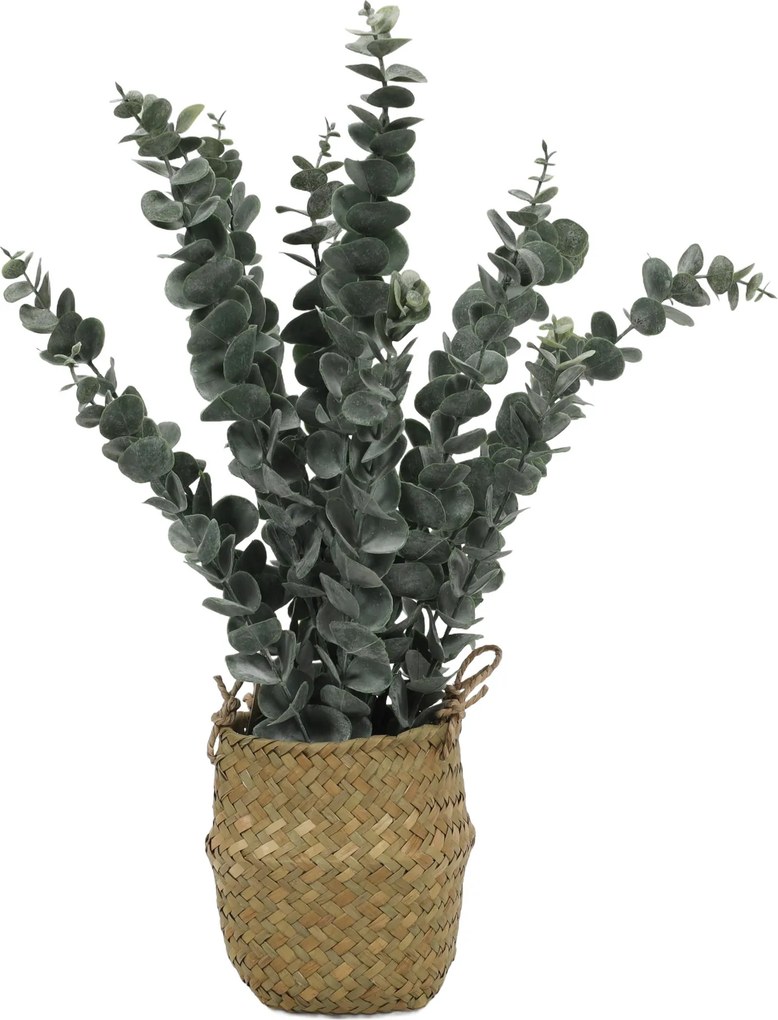 Umělá rostlina eukalyptu v košíku, 50 cm