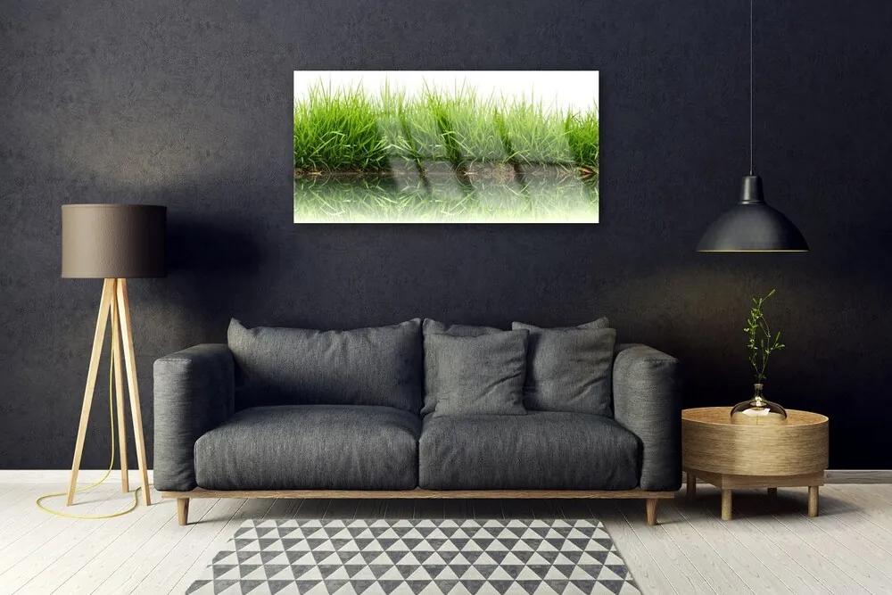 Obraz na skle Tráva Příroda Rostlina 120x60 cm