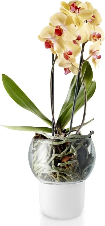 Samozavlažovací skleněný květináč na orchidej  průměr 15cm, eva solo