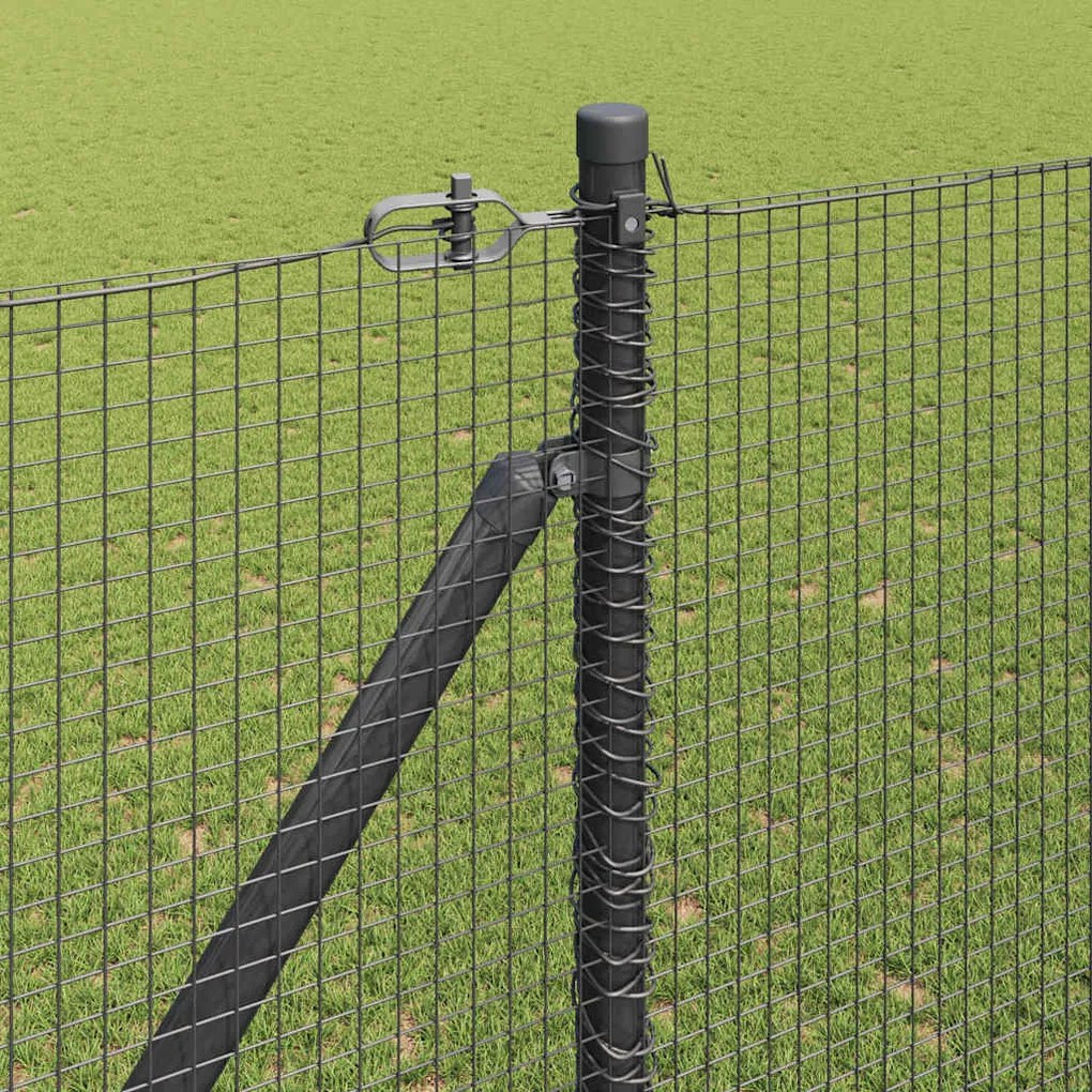 Svařované drátěné ploty s hroty 25 x 1,5 m Ocel potažená PVC 3352211