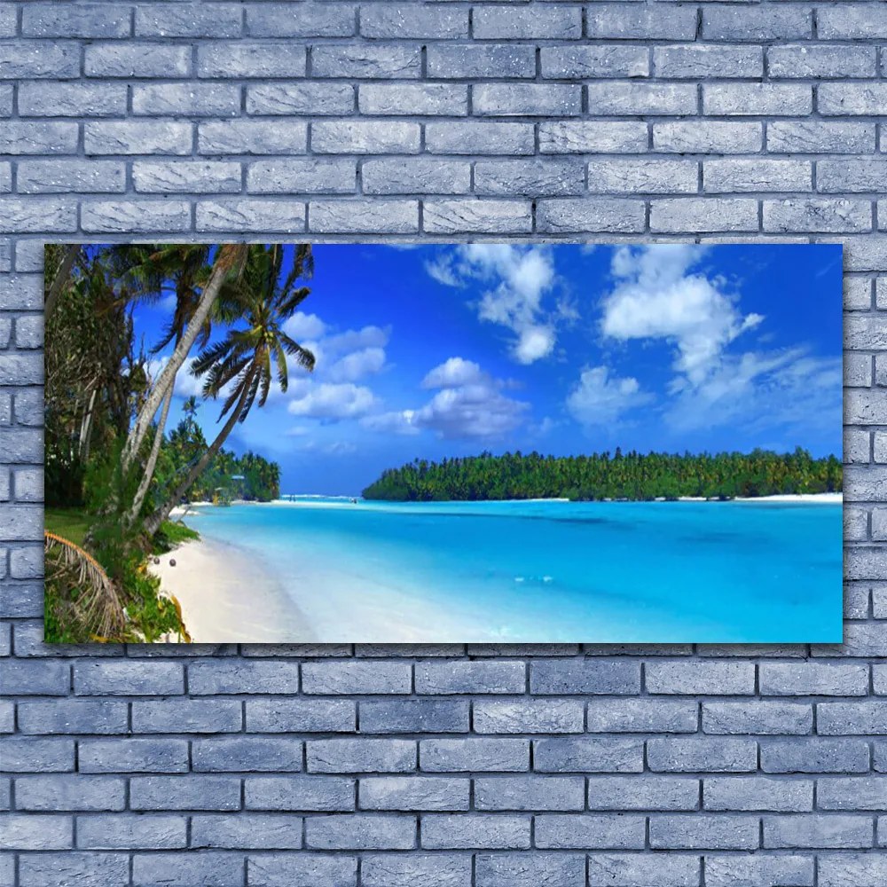 akrylový obraz Pláž Palmy Moře Krajina 120x60 cm