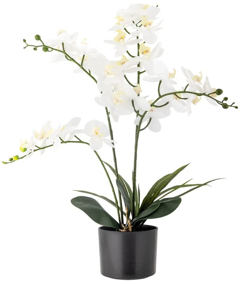 Umělá květina (výška 84 cm) Orchid – Bloomingville