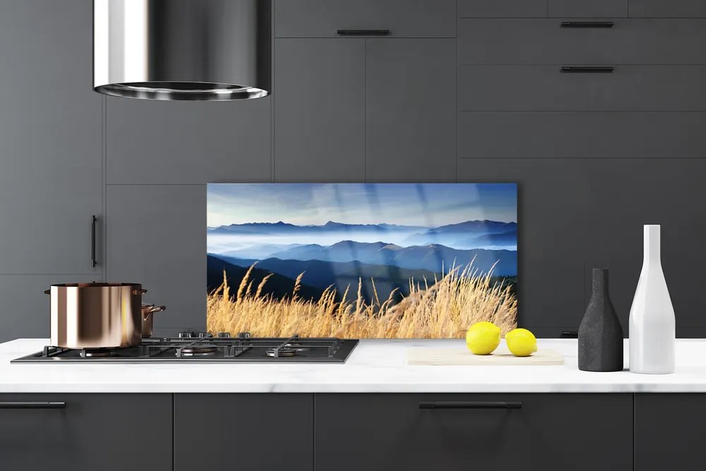 Kuchyňský skleněný panel Pole Krajina 100x50 cm