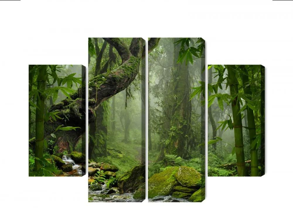 Vícedílný obraz Zeleň Deštného Pralesa Nedostatek Nedostatek Plátno Canvas 200x150