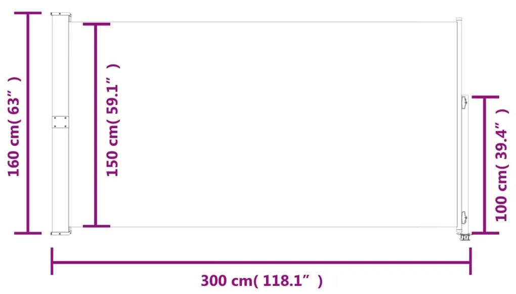 vidaXL Terasová zatahovací boční markýza 160 x 300 cm šedá