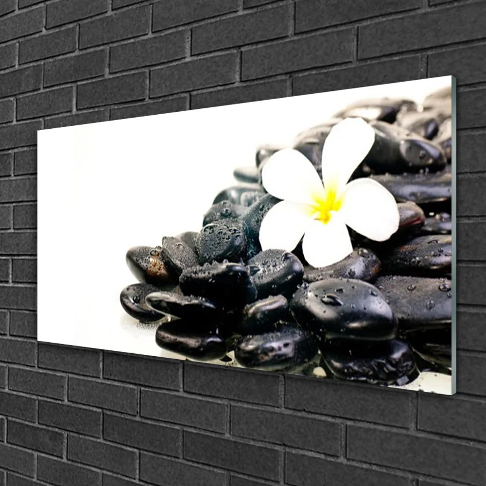 Obraz na skle Květiny Kameny Umění 100x50 cm