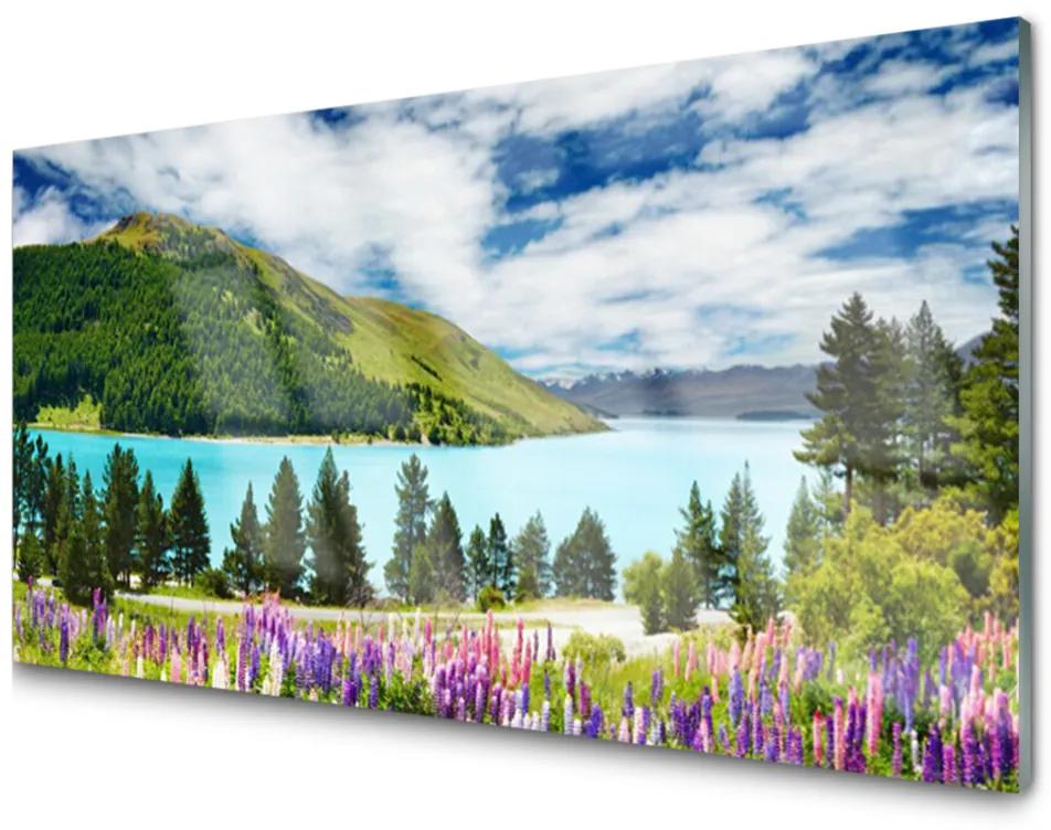 Skleněný obraz Hora Les Jezero Krajina