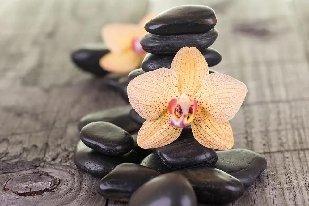 Fototapeta orchideje a Zen kameny - 225x150 cm